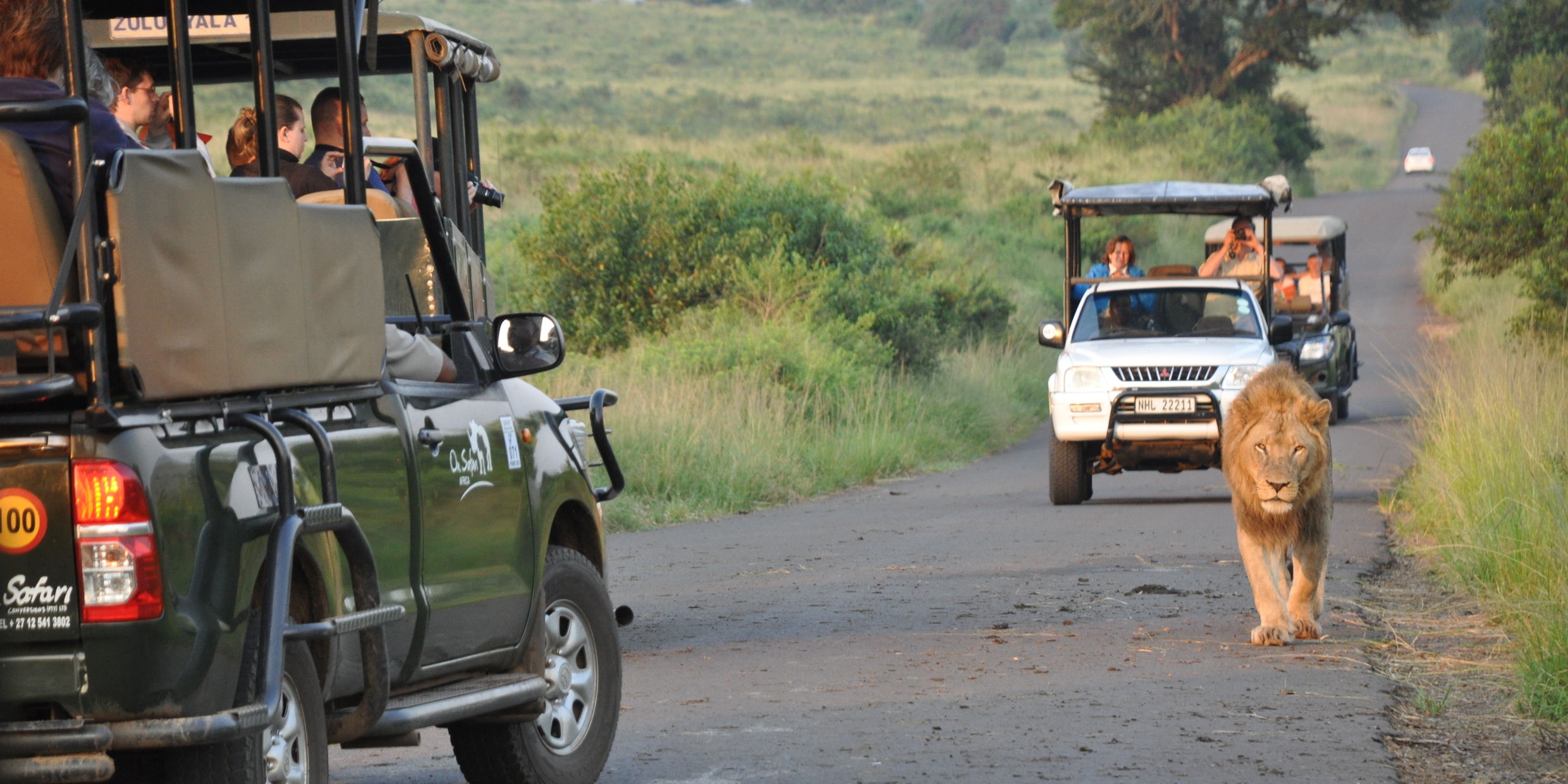 Africa Luxury Train Tours - Society of International Railway Travelers